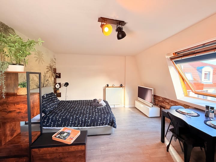 L'escale Haguenauvienne - Plein Centre De Haguenau - Haguenau