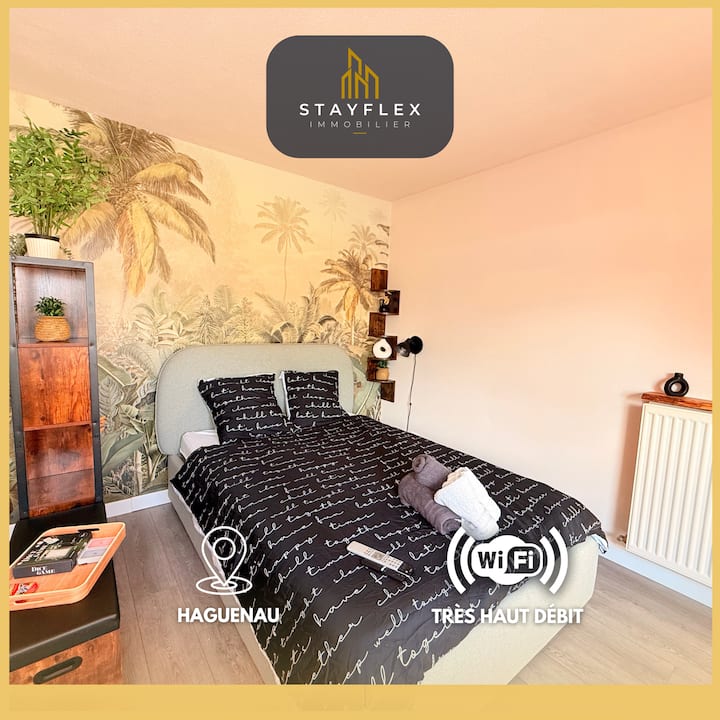 L'escale Haguenauvienne - Plein Centre De Haguenau - Haguenau