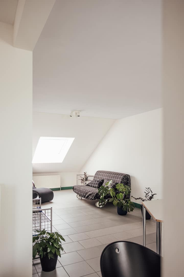 Attico - Designer Apartment With Sunny Terrace - Hasselt
