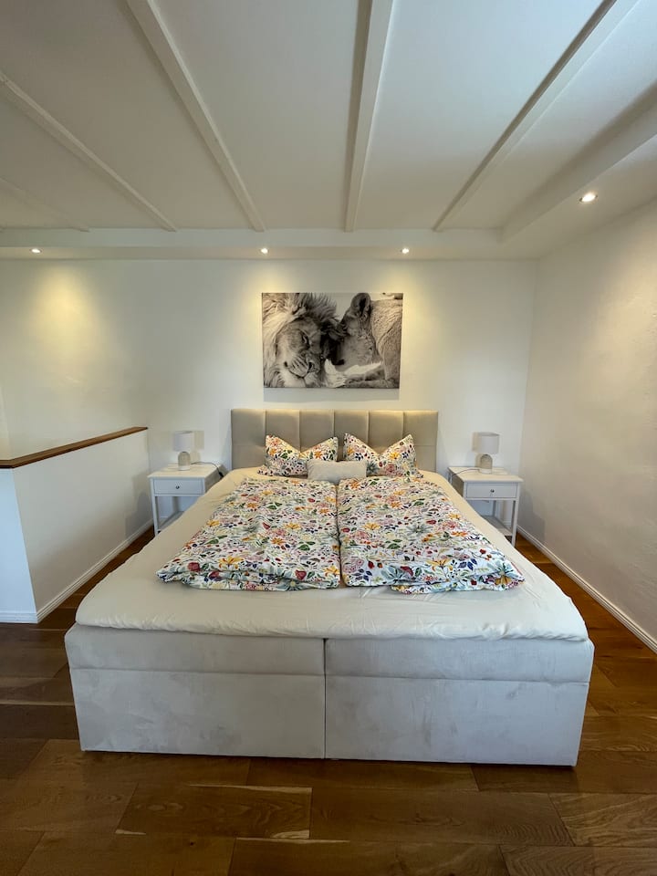 Monas Tinyhouse - Mitten In Paderborn - Paderborn