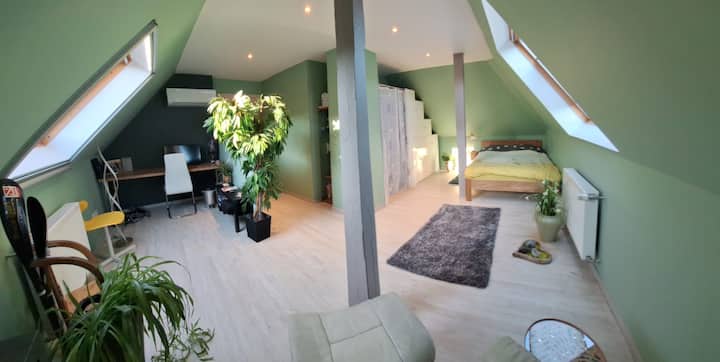 Chambre 2 “Jungle" – Confort & Tranquillité - Strasbourg