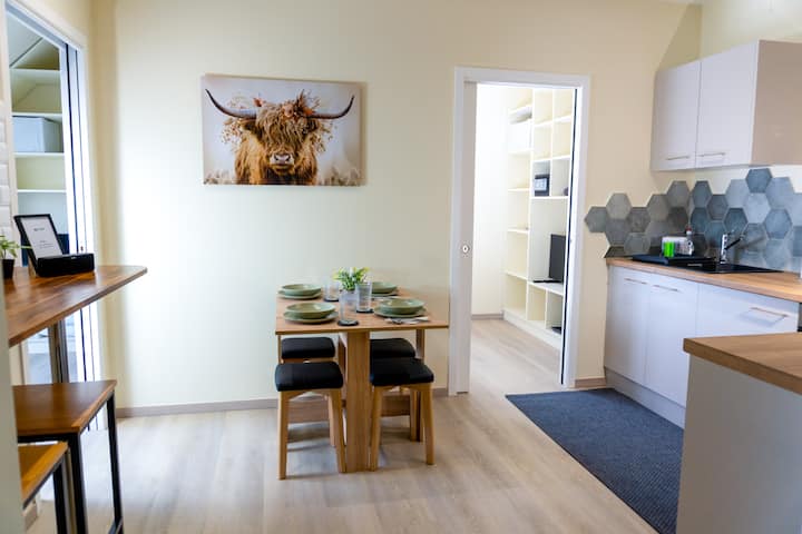 Apartment Für Monteure/projektteams/durchreisende - Offenbourg