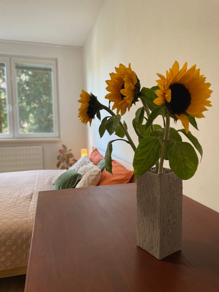 Big Warm Apartment • 6 Guests • 7 Min Center - Nitra