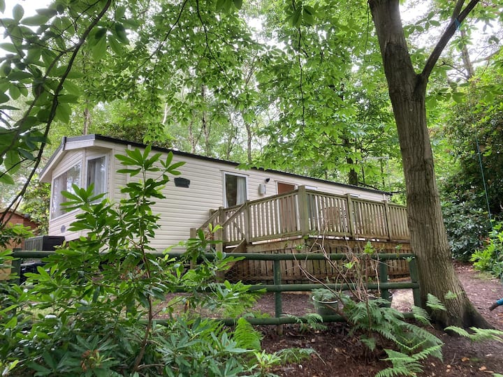 Woodland Holiday Home - Salthouse