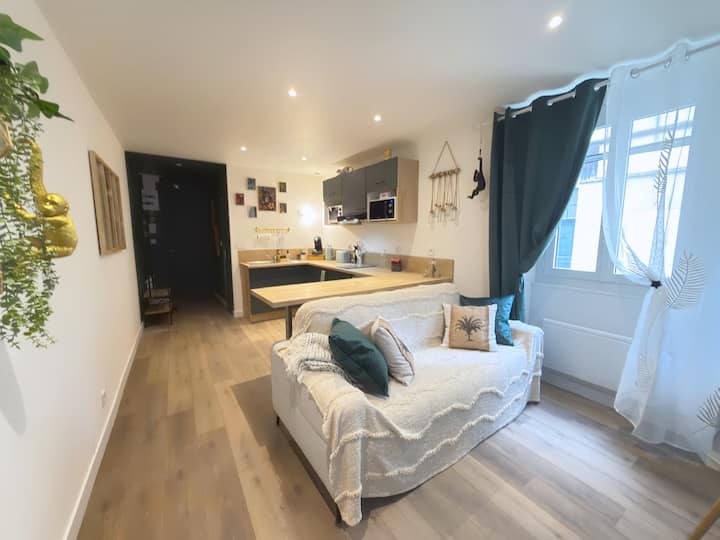 Le Jungle - Hyper Centre Ville - Sens