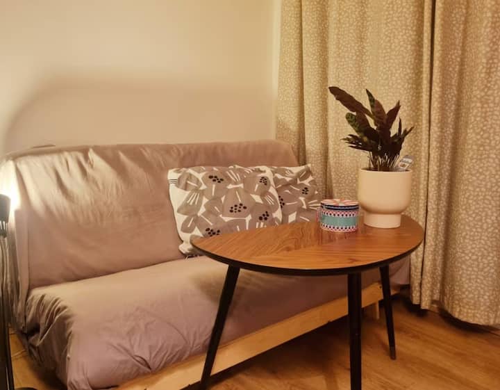 Bright Studio In Great Location - Dublin