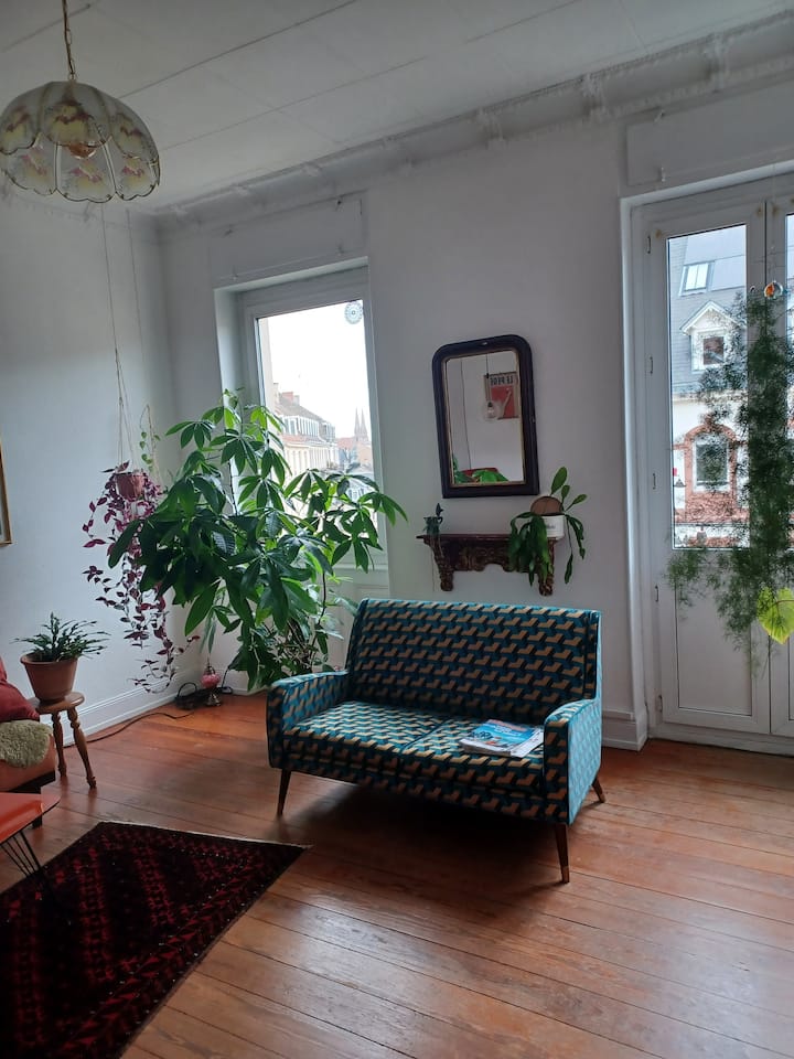 Appartement à Côté Du Jardin Botanique - Strasbourg