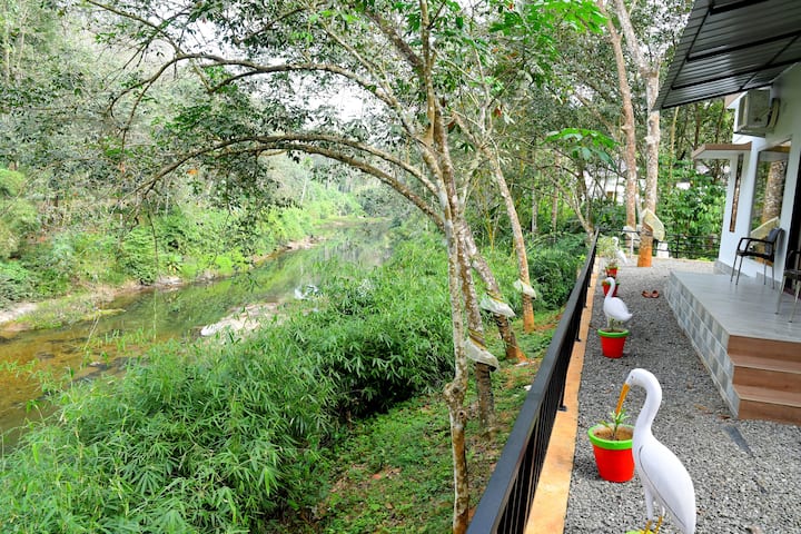 Escape To The Mystic: Where Nature Meets Serenity - Kerala