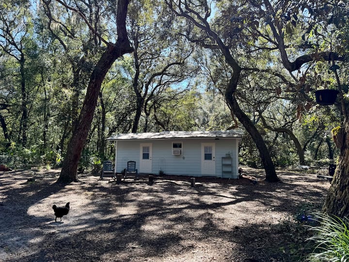 The Canopy Cabin In Florahome, Florida - Mike Roess Gold Head Branch State Park, Keystone Heights