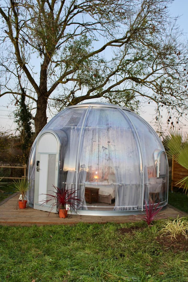 Bulle Sous Les éToiles - Calvados