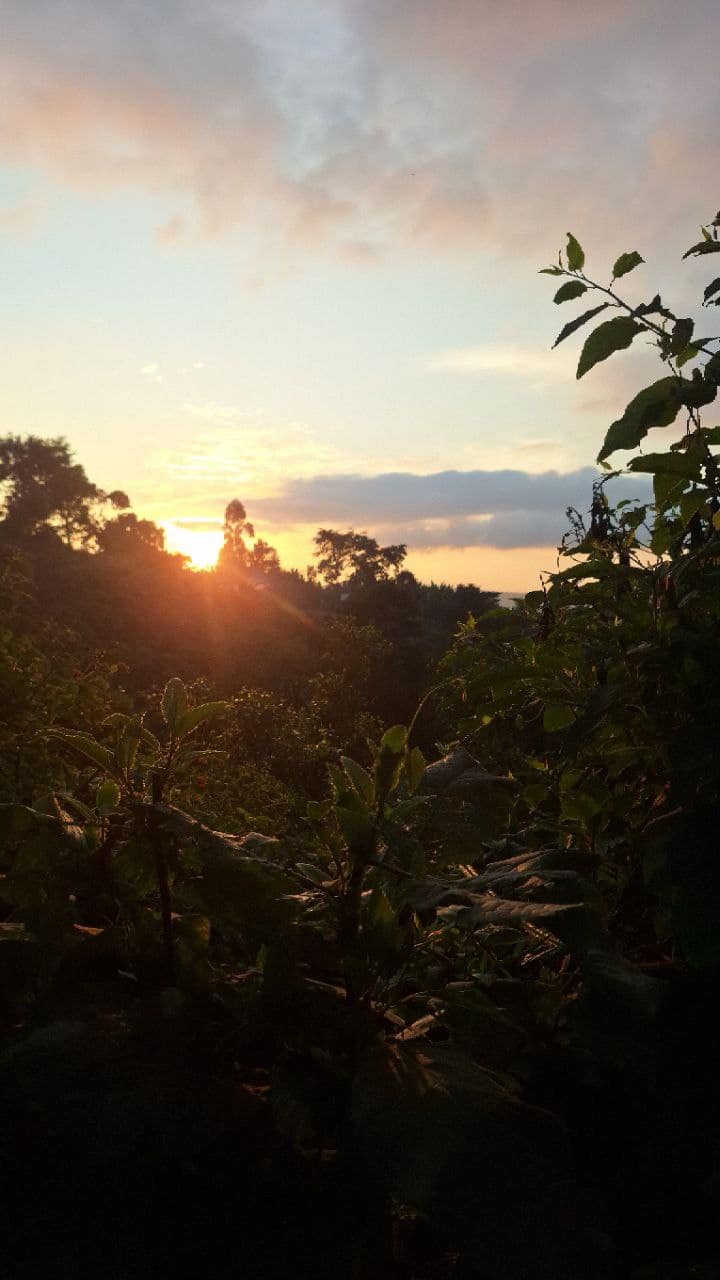 Haya's Hillside Camping – Sunset & Starry Skies - Shashamane