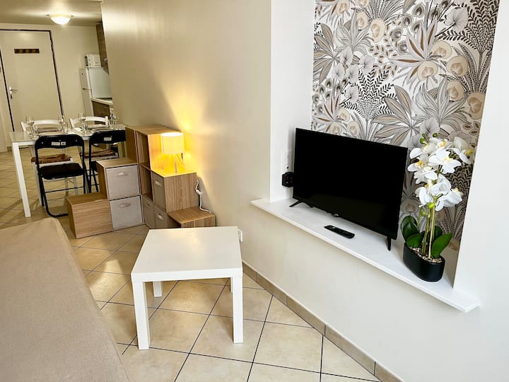 Magnifique Appartement (3) - Le Puy-en-Velay