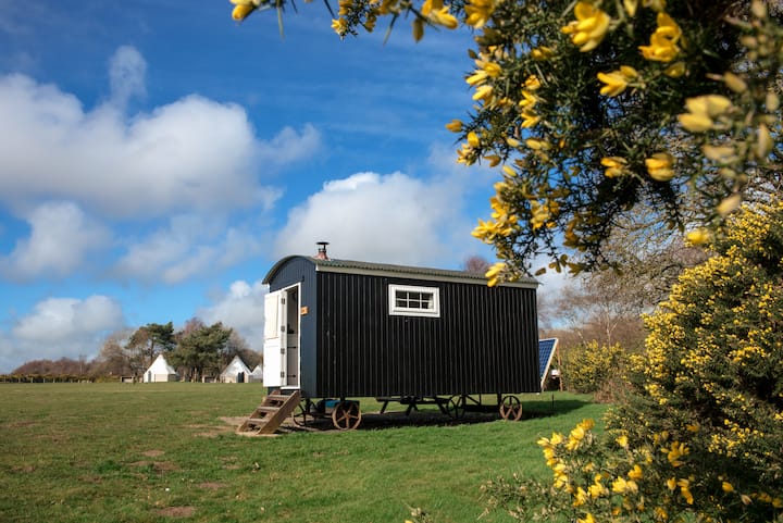Dorset Escape Next To Monkey World - Lulworth Castle Wareham