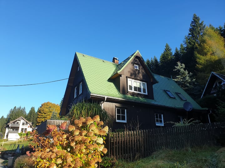 Naturidyll Am Wald: Wandern, Langlauf, Biking 4per - Klingenthal