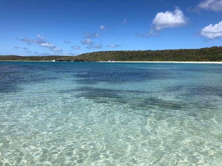 Tipsy Turtle Vieques! 
5-min From Beach & Airport - Vieques