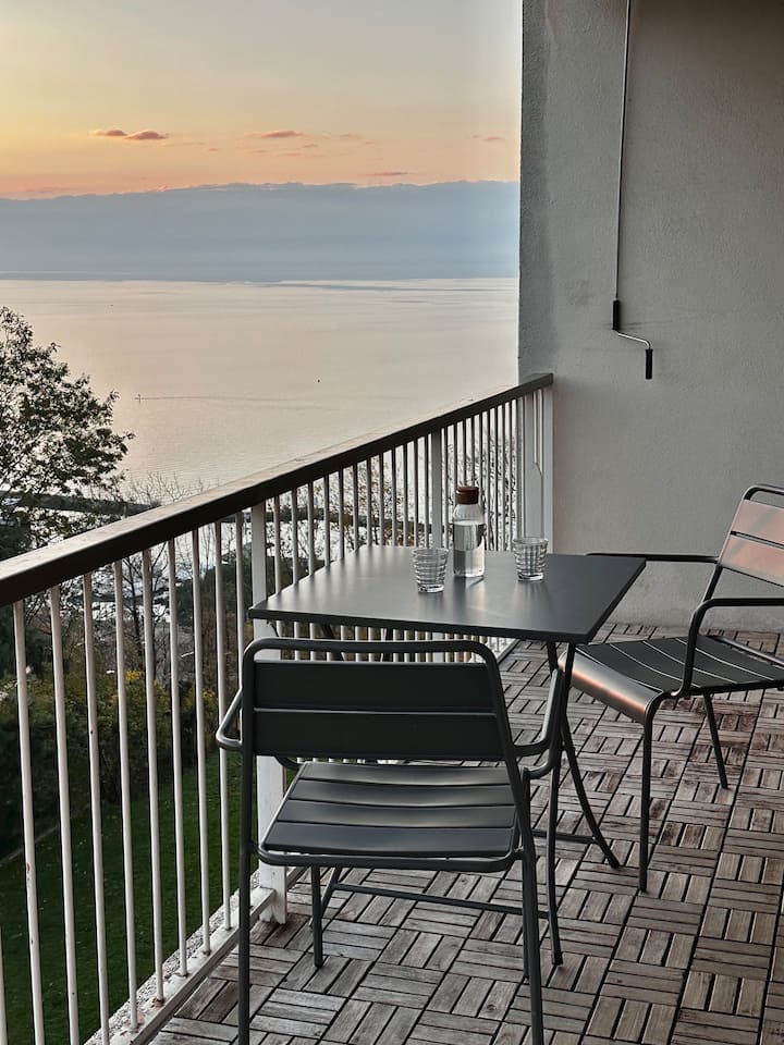 Studio Coup De Cœur Avec Vue Lac Et Ville - ibis Thonon Centre