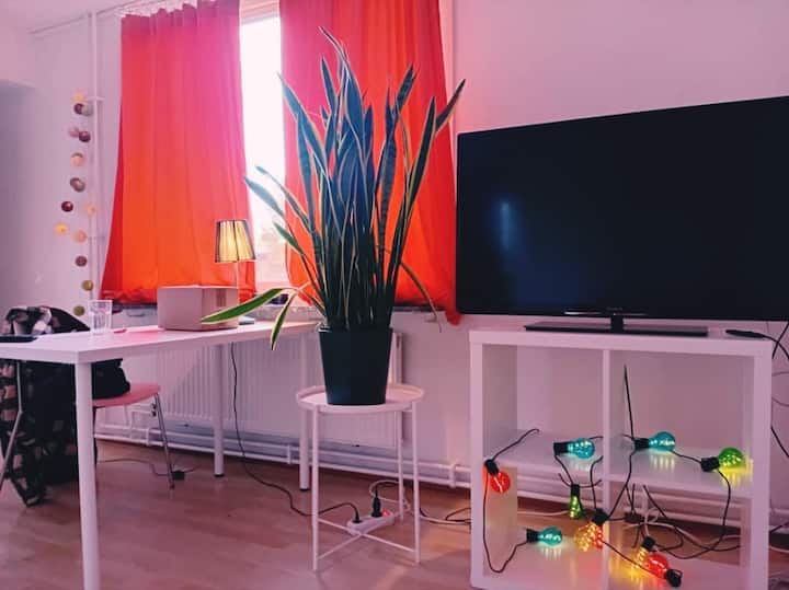 Nice Apartment In Calm Neighbourhood - Lund