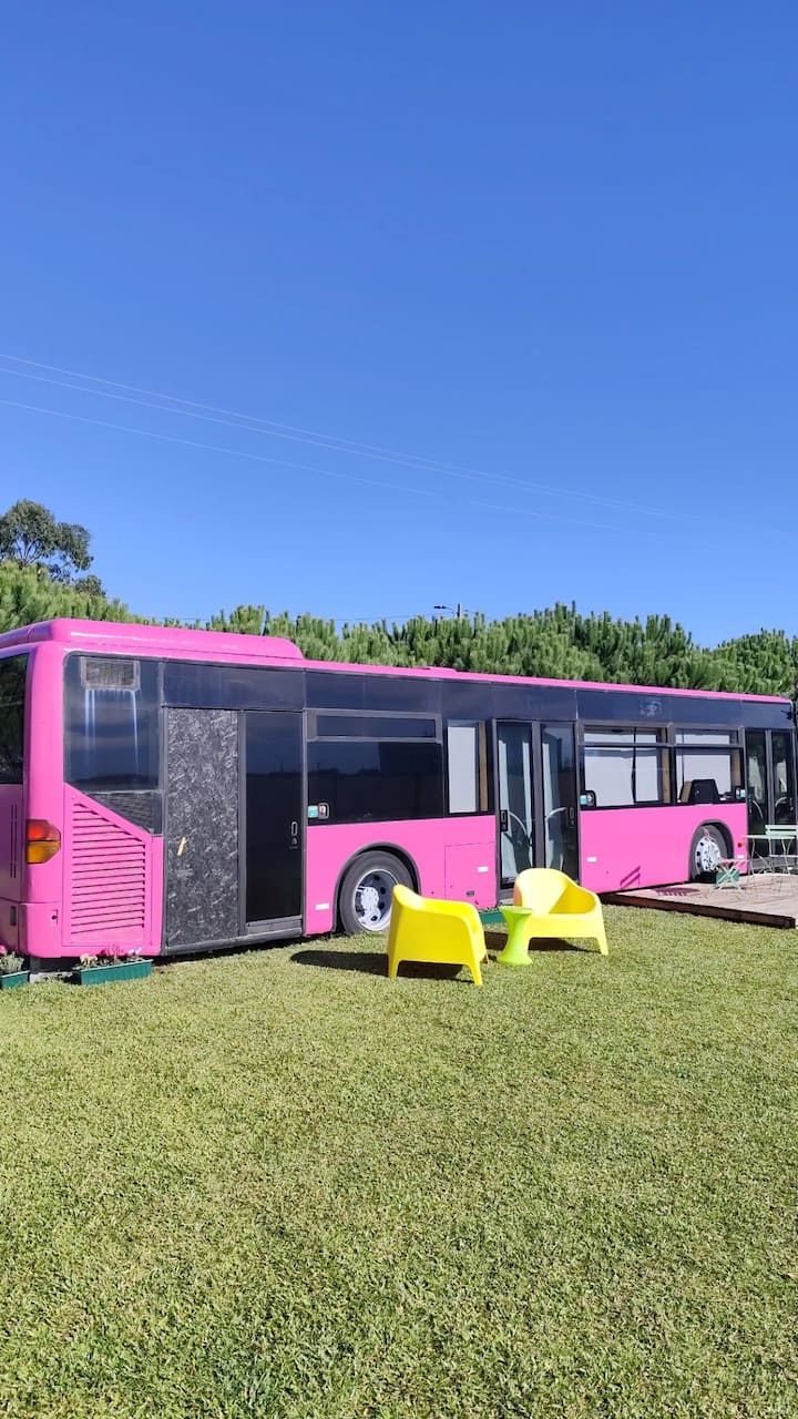 Flamingo Bus - Portugal