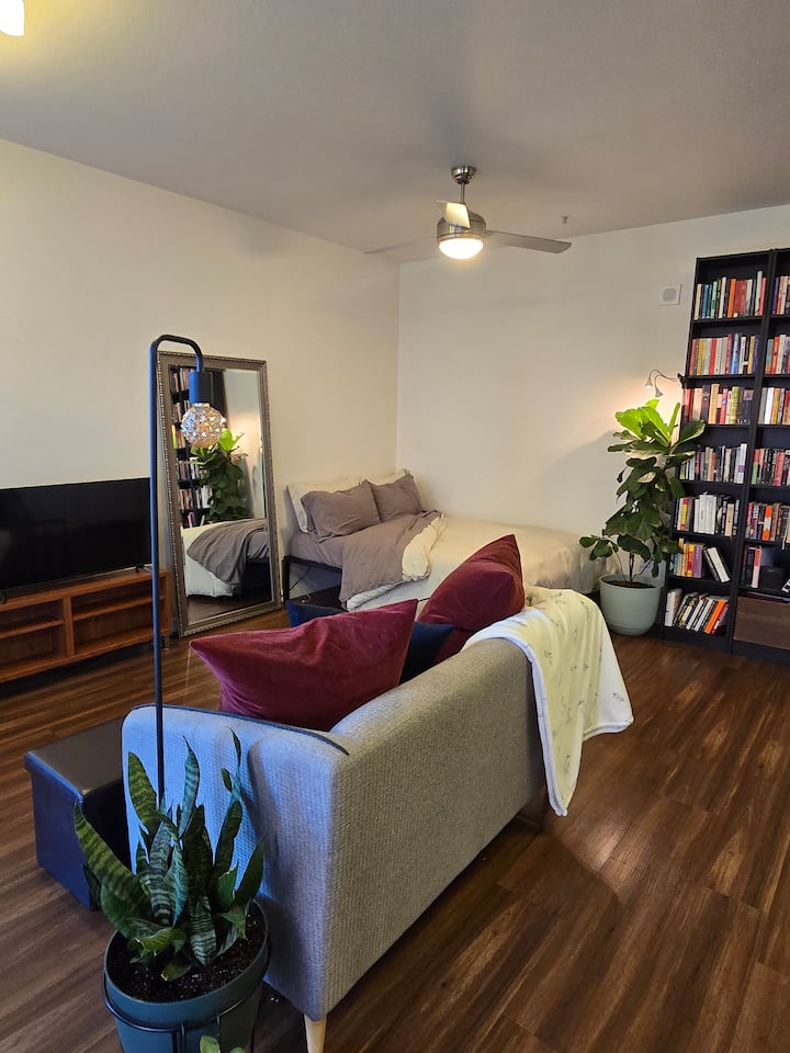 Luxury Studio In Downtown Denver - Denver, CO