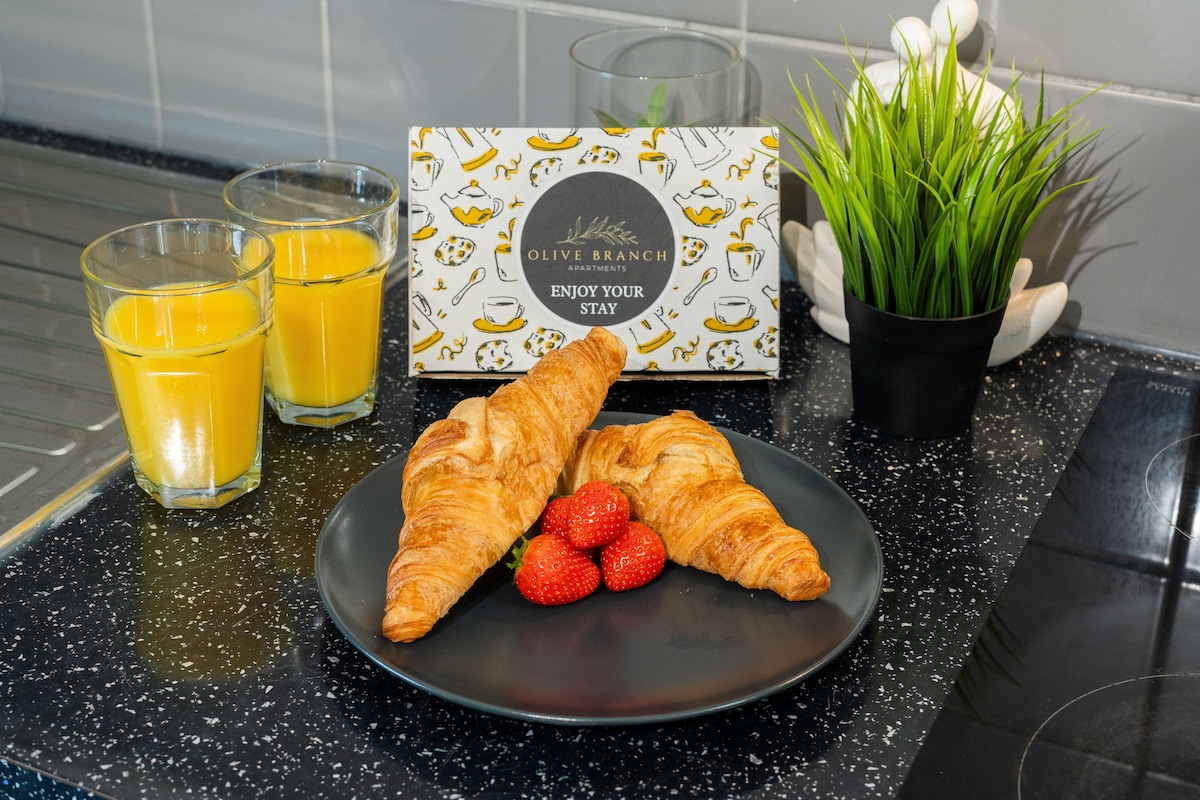 Olive Branch Apt | Stylish Studio Apt w/ Sofa Bed - Flats for Rent in ...