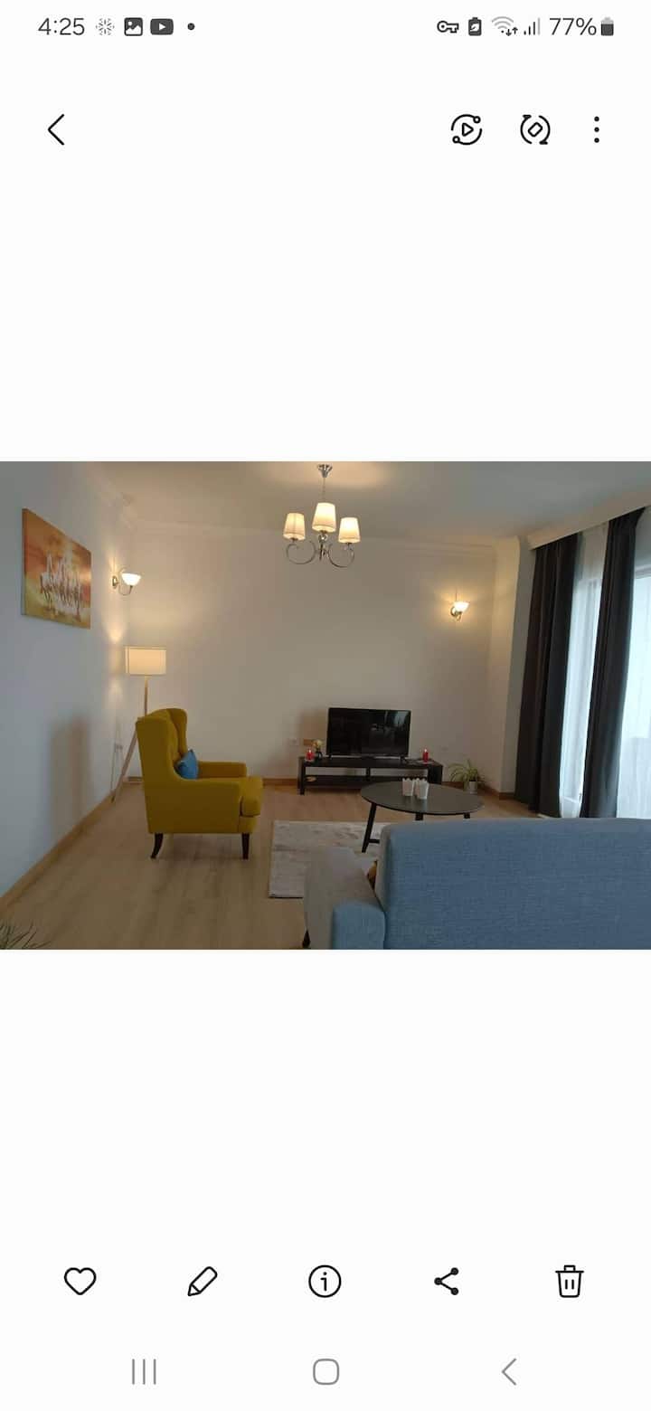 2 Bedroom Furnished Apartment For Rent In Bole - 阿的斯阿貝巴