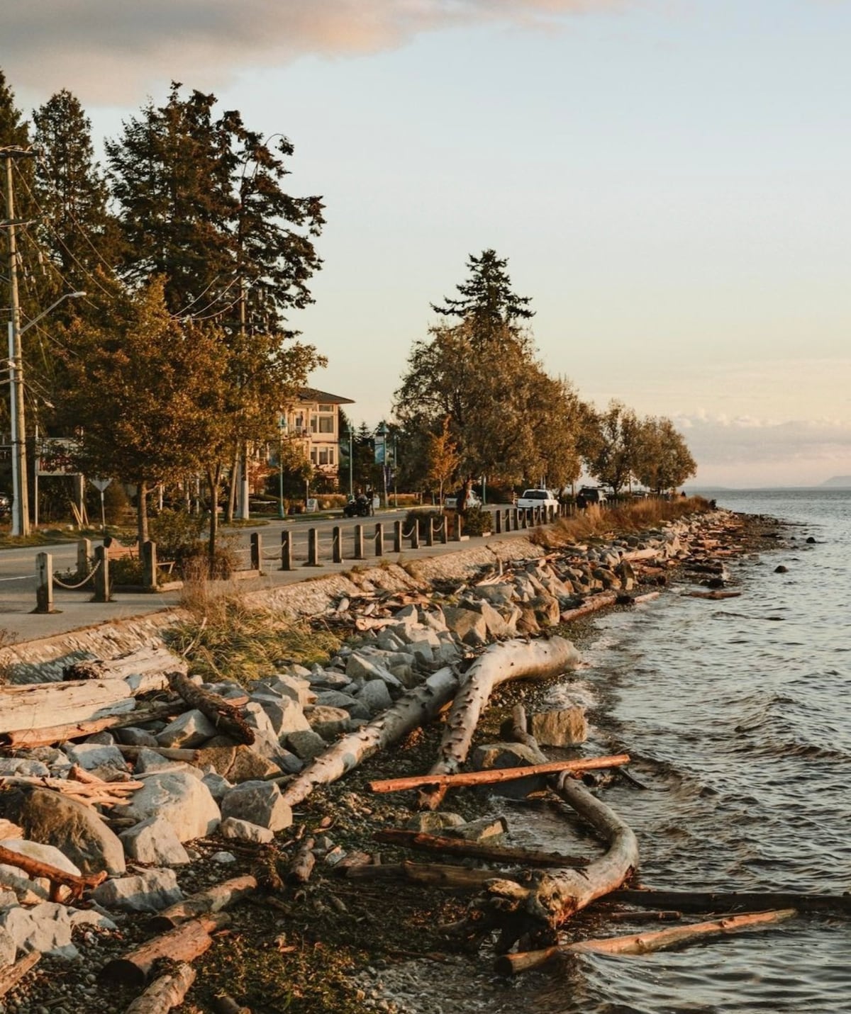 Nuovo monolocale sulla costa, a pochi passi da Davis Bay Beach - Airbnb