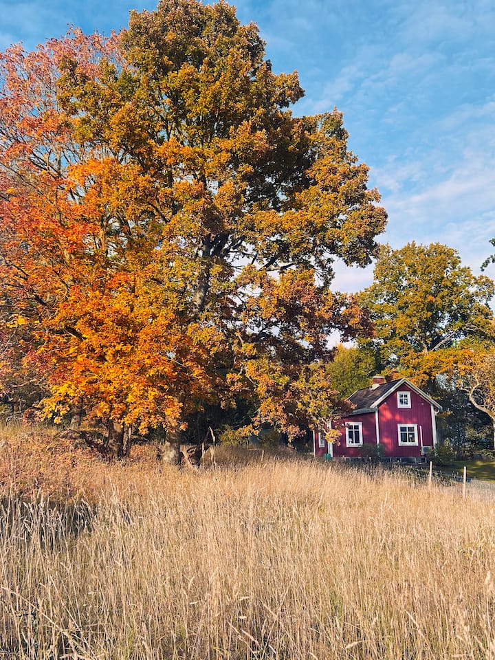 Lillahuset I Solsäter - Värnamo