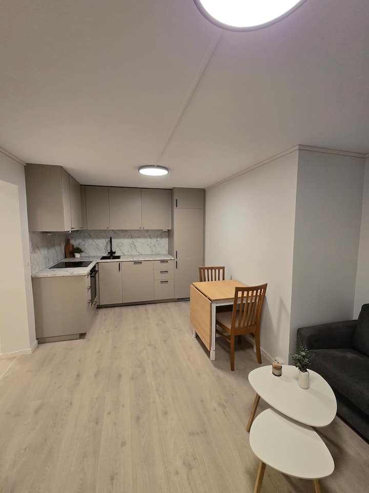 Femroms Leilighet I Rolig Strøk - Trondheim