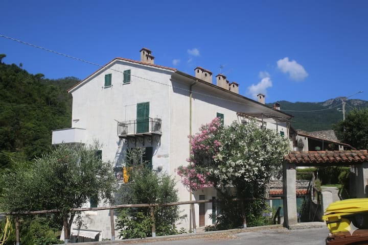 Verzi 19, Strand Og Bjerge - Loano