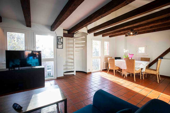 Alojamiento Amplio Cálido Y Céntrico - Strasbourg