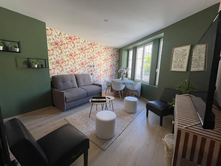 Agape Appartement Calme En Bordure De Moselle - Épinal