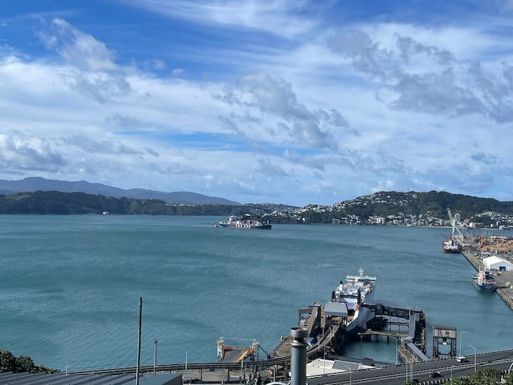Helluva Harbour View - Wellington