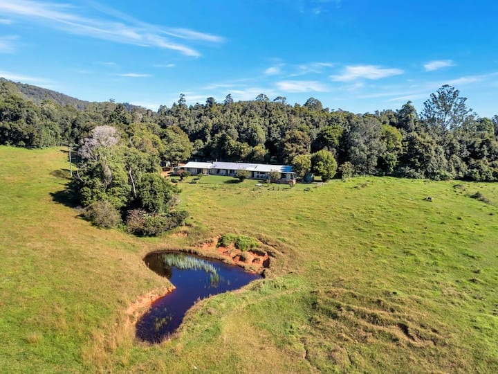 Dorrigo 7 Bed 4 Bath Farm Stay - Alpacas Getaway - Dorrigo