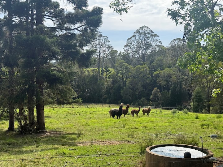 Dorrigo 7 Bed 4 Bath Farm Stay — Alpacas Getaway - Dorrigo
