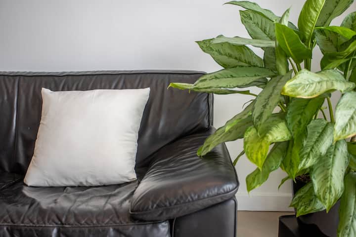 Ideal Location Caracas. Feels Like 5 Stars Hotel ! - Caracas