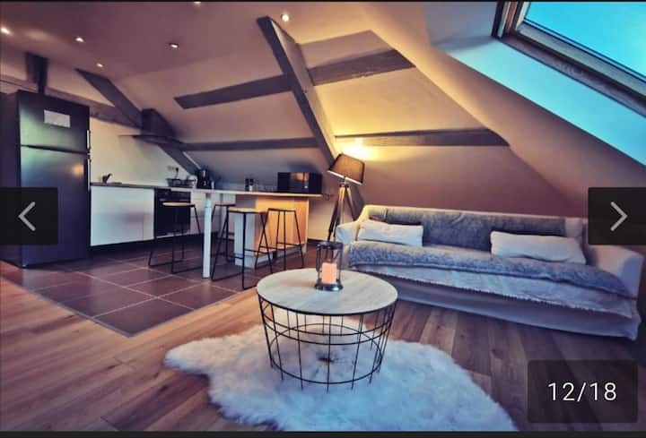 Cosy Chic/erstein/3p 60m2 - Erstein