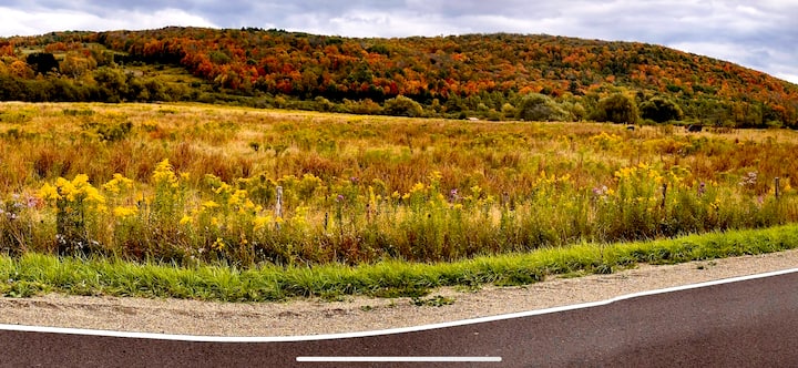 Barnwood And Brick Rentals. The “Felton House” - Alpine Lake, Delevan