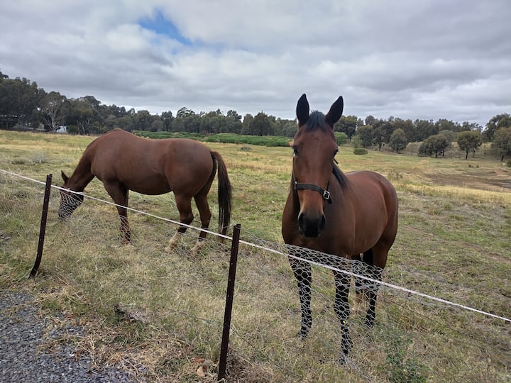 Entire Retro House-2bedrooms+office+wifi+netflix - Stawell