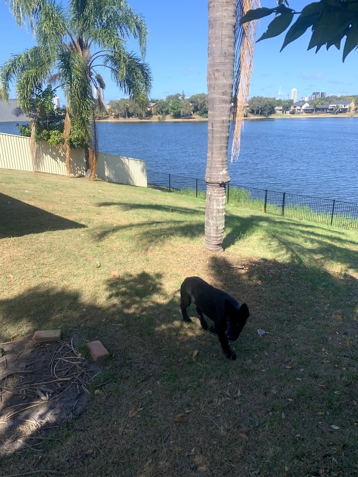 Delightful Campsite For Rv Or Tent - Walk To Beach - Tweed Heads