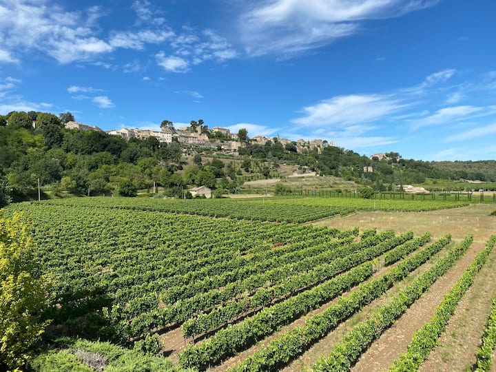 Mas Provençal, Ménerbes On The Vines - Ménerbes