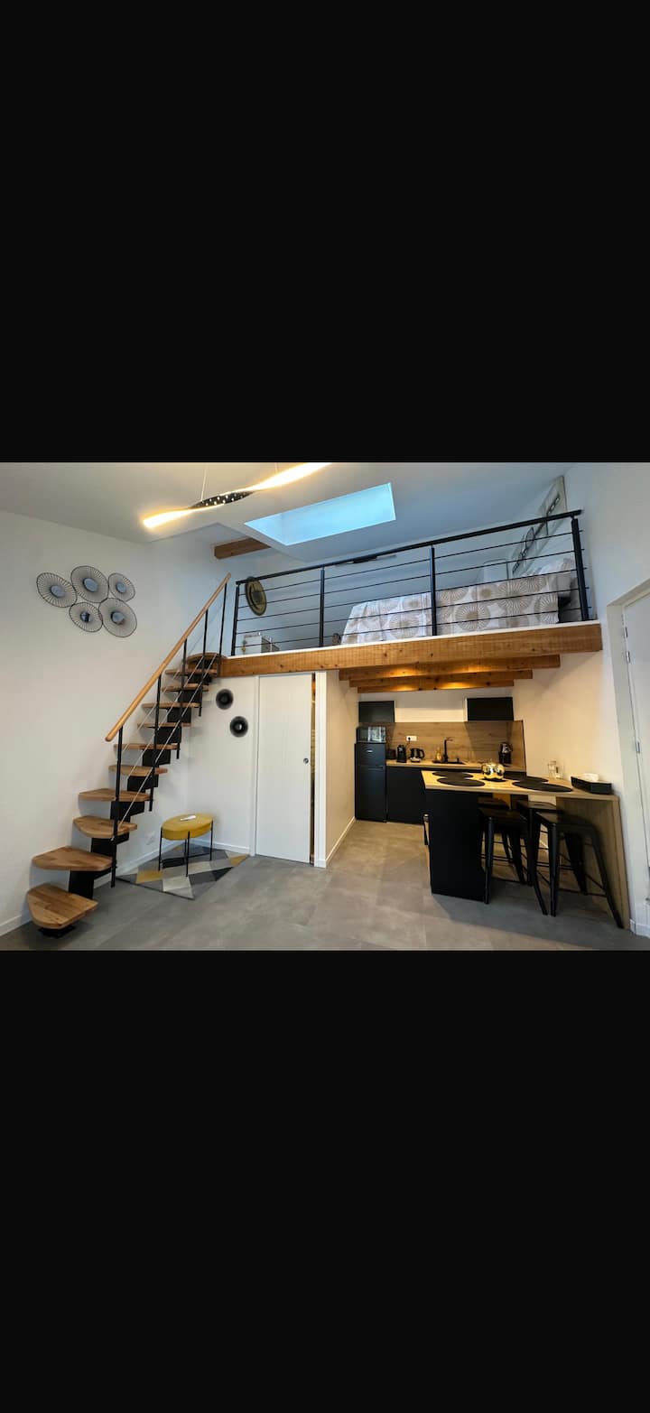 Gap-romette Appartement Avec Mezzanine - Gap