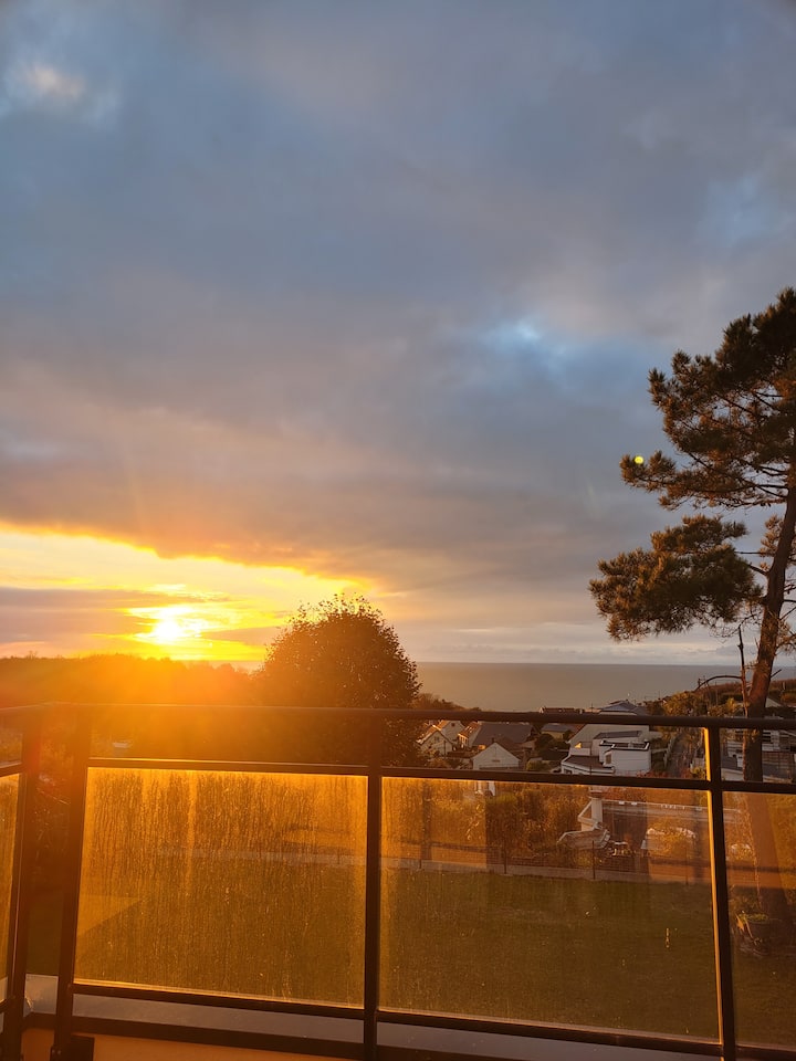 L'horizon Bleu -Vue Mer/balcon Privé/salle De Bain - Octeville-sur-Mer