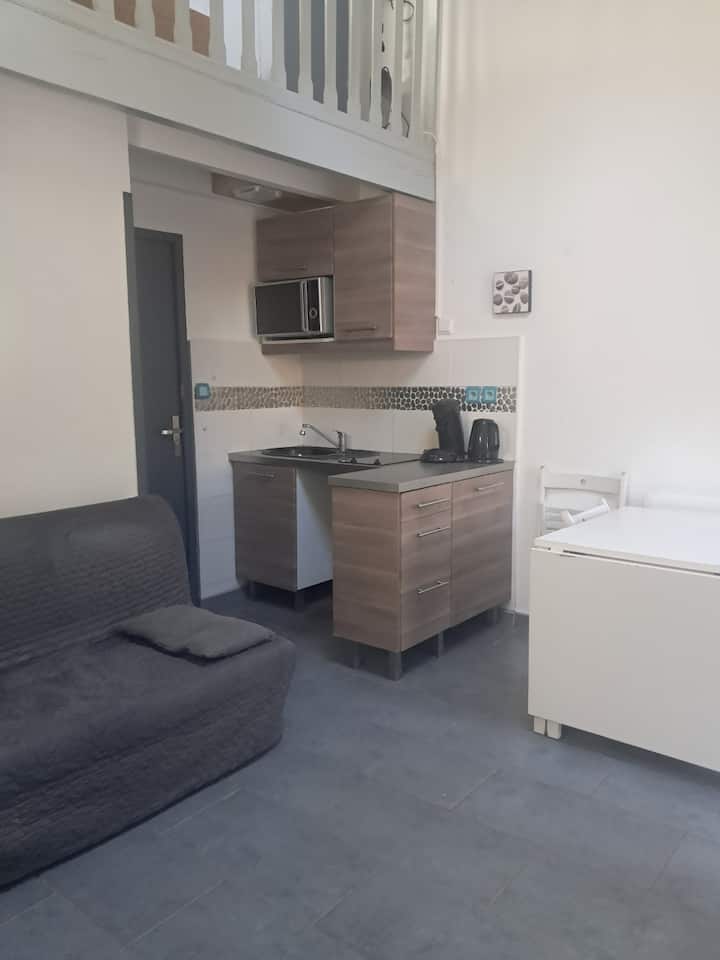 Elégante Maisonnette Dans La Pinède - Lacanau