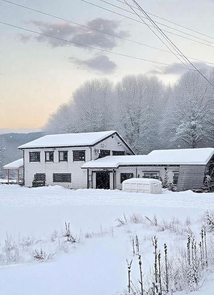 女性専用ドミトリB（朝食付き・無料送迎）シングルの2段ベッド - Hakuba