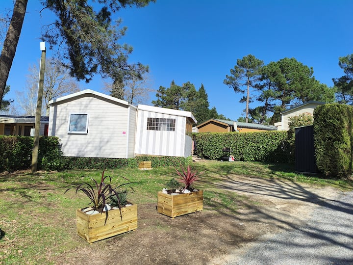 Bienvenue Chez Guy Et Marie Agnès         N 381 - Pont-Aven