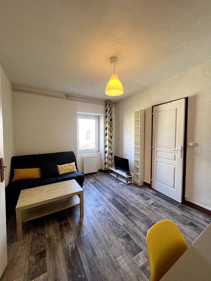 Studio Calme Et Bien Situé à Clermont-ferrand - Aubière