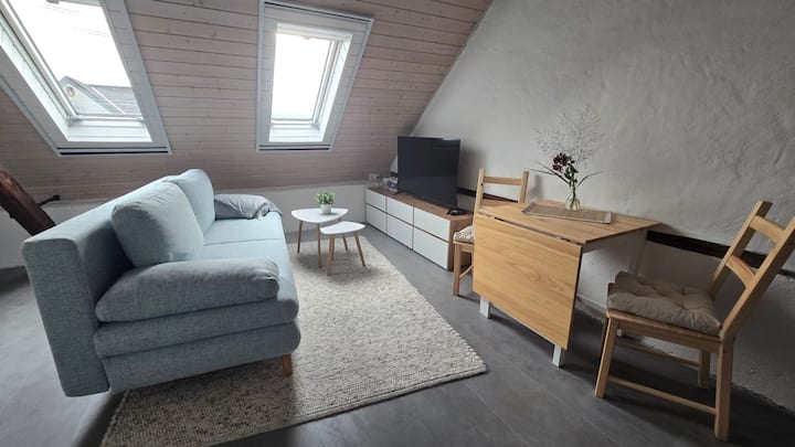 Stilvolle Kleine Ferienwohnung - Andernach