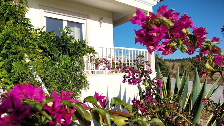 Casa Da Alegria Boutique Guest Suite - São Martinho do Porto