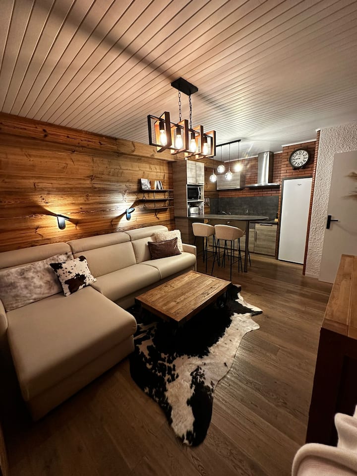 Appartement T2 à 5 Min De La Remontée Mécanique - Les Deux Alpes