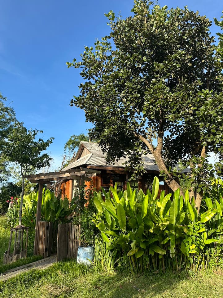 Secret Cabin, Nitan Village, Chiangdao Citycenter - Chiang Dao